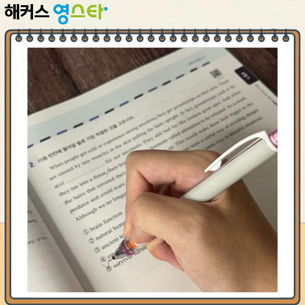 고등영어 문법교재로 중등 영어 독해 완벽하게 마스터해보자 네이버 블로그