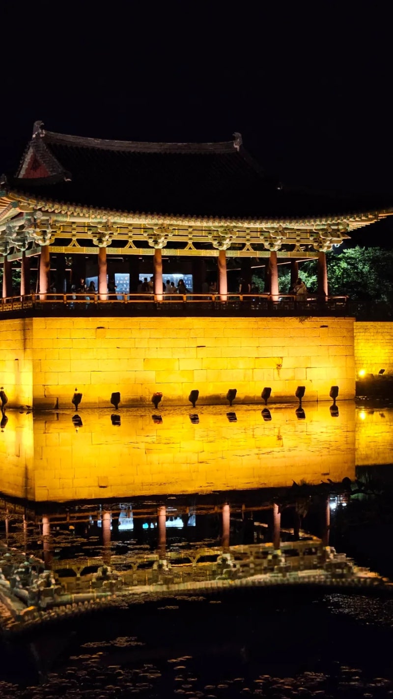 경주여행 경주야경명소 동궁과월지 주차 입장료 네이버 블로그