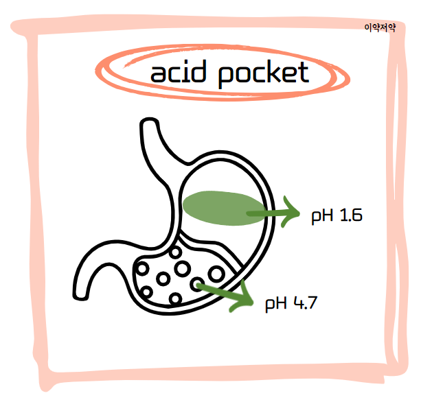 라미나지액 alginate 역류성식도염약 복용법 (라미원액, 거드액, 스토린액 등) : 네이버 블로그