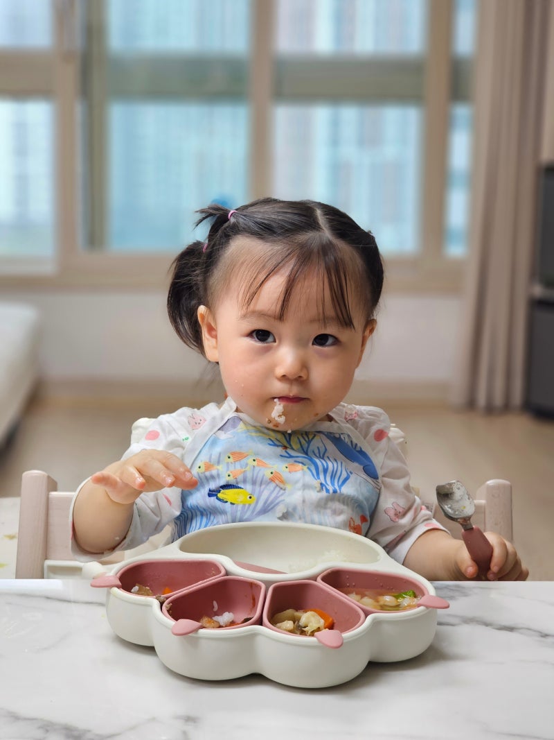 토핑이유식식판 퍼기 냥냥세트로 흡착식판에 뚜껑까지 네이버 블로그