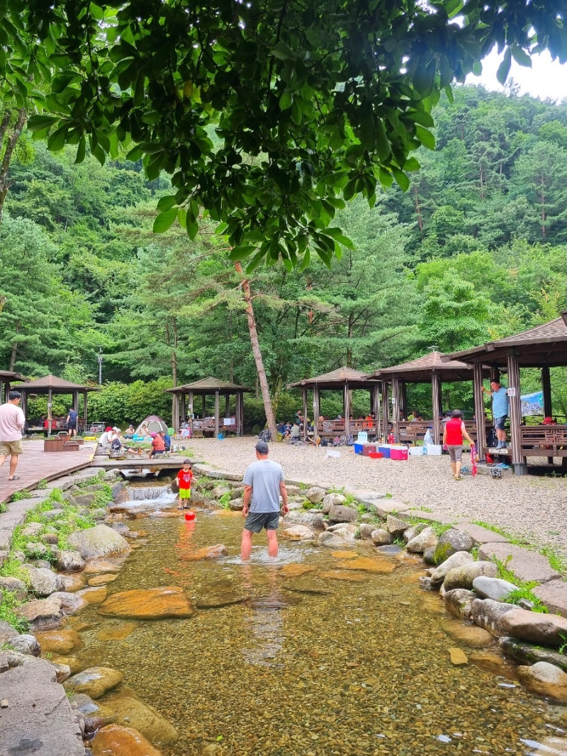단양 가볼만한곳 7곳 당일치기 여행 코스 베스트 네이버 블로그