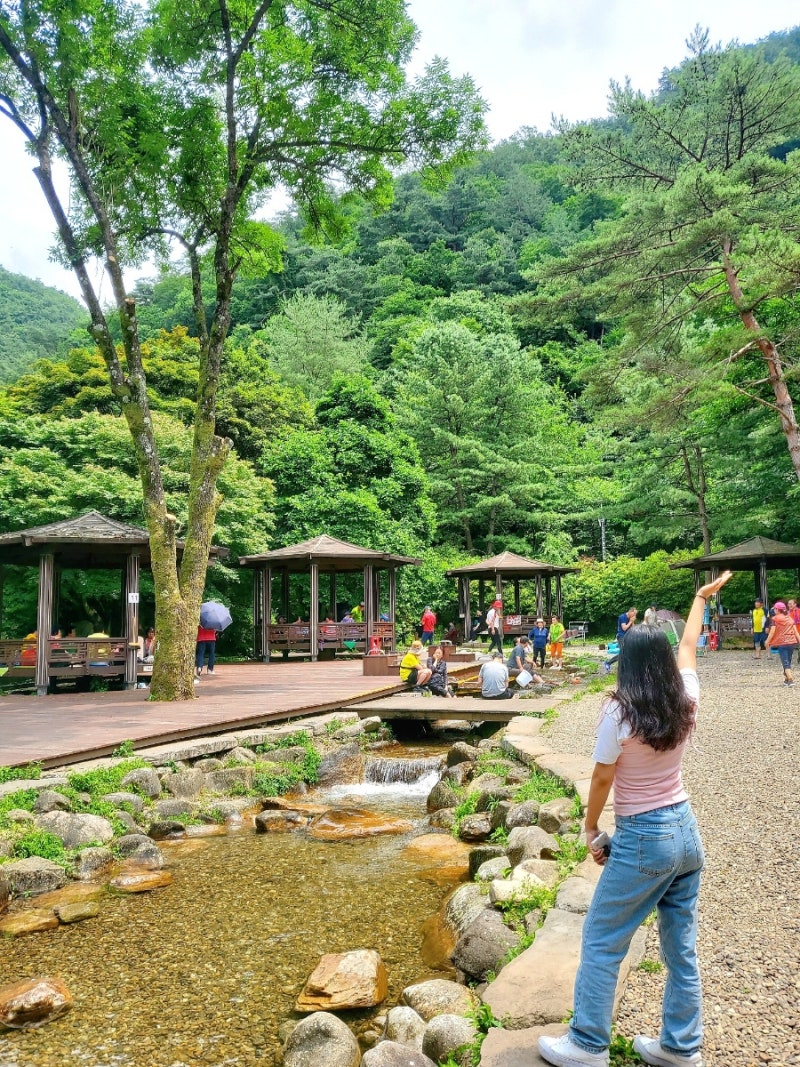 단양 가볼만한곳 7곳 당일치기 여행 코스 베스트 네이버 블로그
