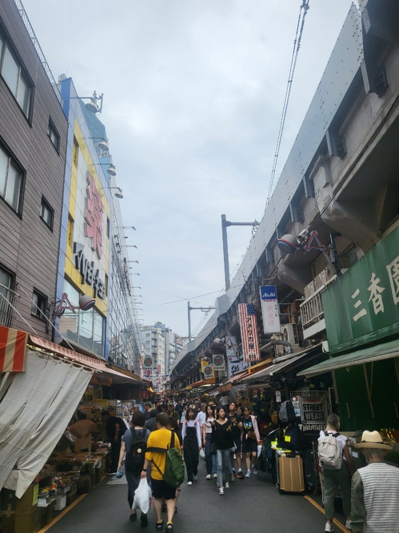도쿄 커플여행 3일차 우에노공원 아메요코 시장 아키하바라 아사쿠사 네이버 블로그