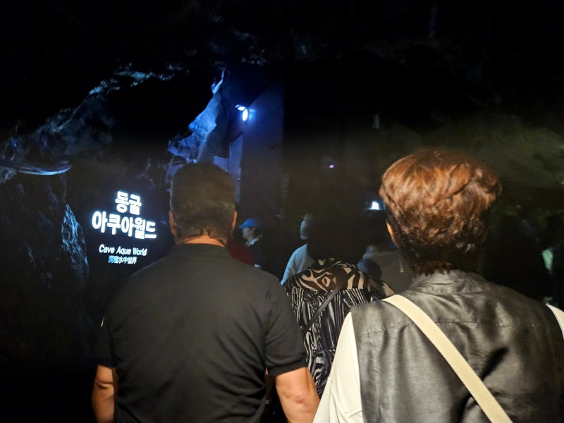 광명동굴 주말 입장료 주차 광명아이와가볼만한곳 네이버 블로그