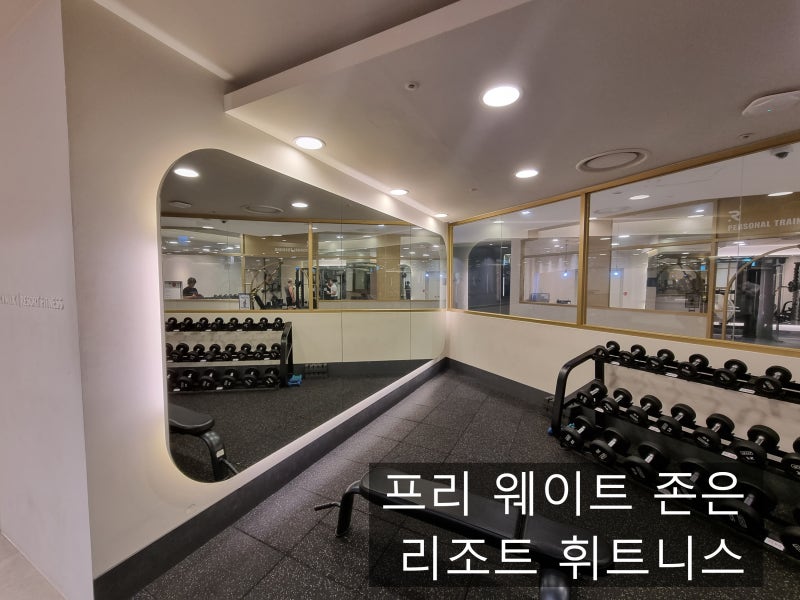 대전 헬스장 프리 웨이트 존은 리조트 휘트니스 네이버 블로그