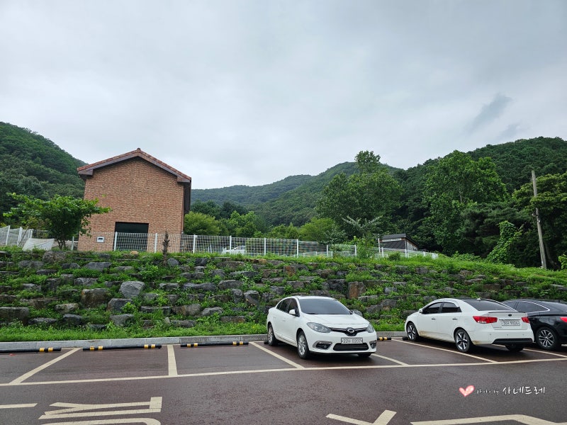 수리산 둔대주차장 임도오거리 덕고개 네이버 블로그
