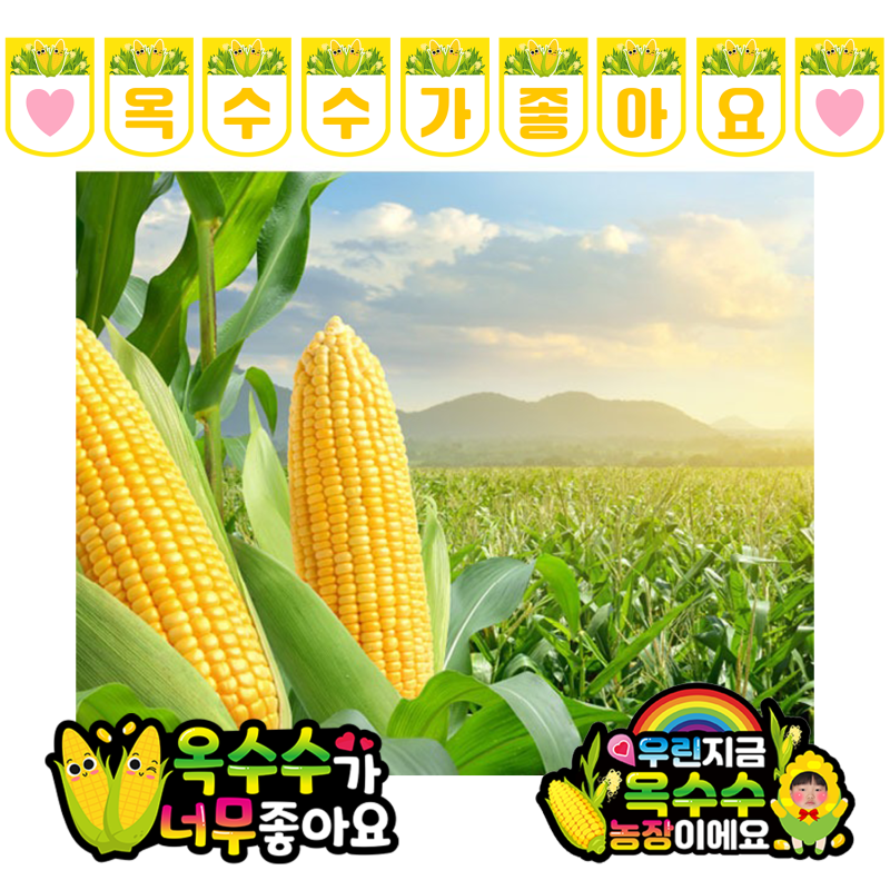 옥수수도안 가랜드 토퍼 어린이집환경구성 유치원도안 옥수수데이 무료도안나눔 네이버 블로그