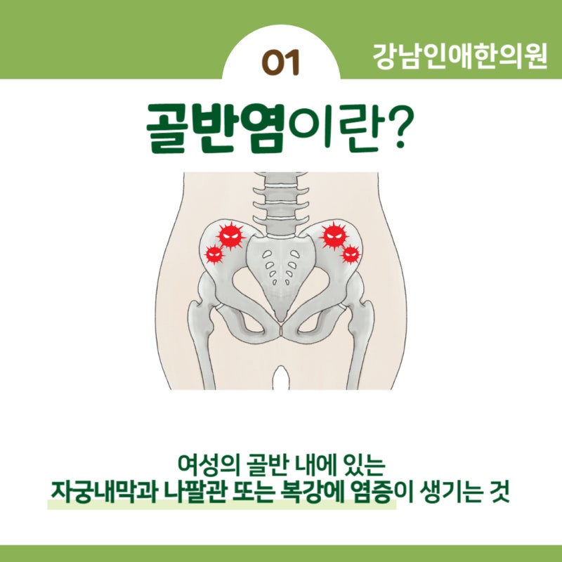 골반염 통증 위치 증상 초록냉 원인 네이버 블로그
