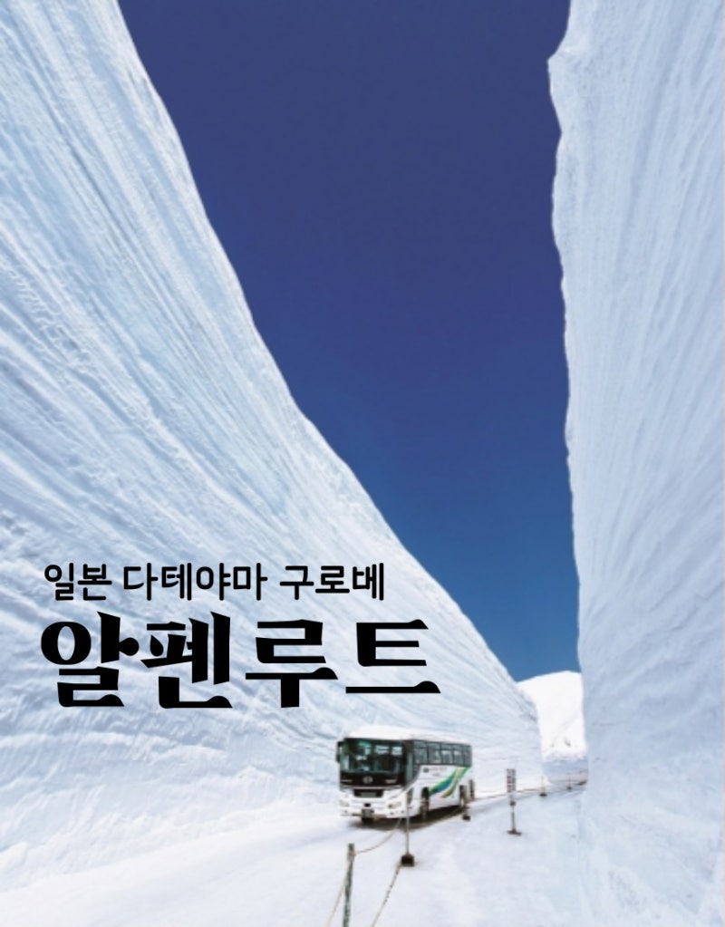 일본 트레킹 9월~10월 가을 단풍여행은 일본 북알프스 다테야마 알펜루트로인천 출발 부산 출발 네이버 블로그