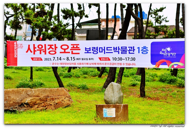 7월 8월 여름 바다 여행지 충남 보령 가볼 만한 곳 대천해수욕장 머드 축제 기본 정보 입장료 네이버 블로그