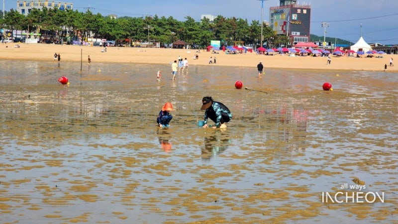 여름 여행지 추천 서울 근교 바다 인천 영종도 을왕리해수욕장 네이버 블로그