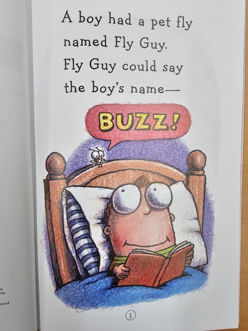Buzz Boy and Fly Guy : 네이버 블로그