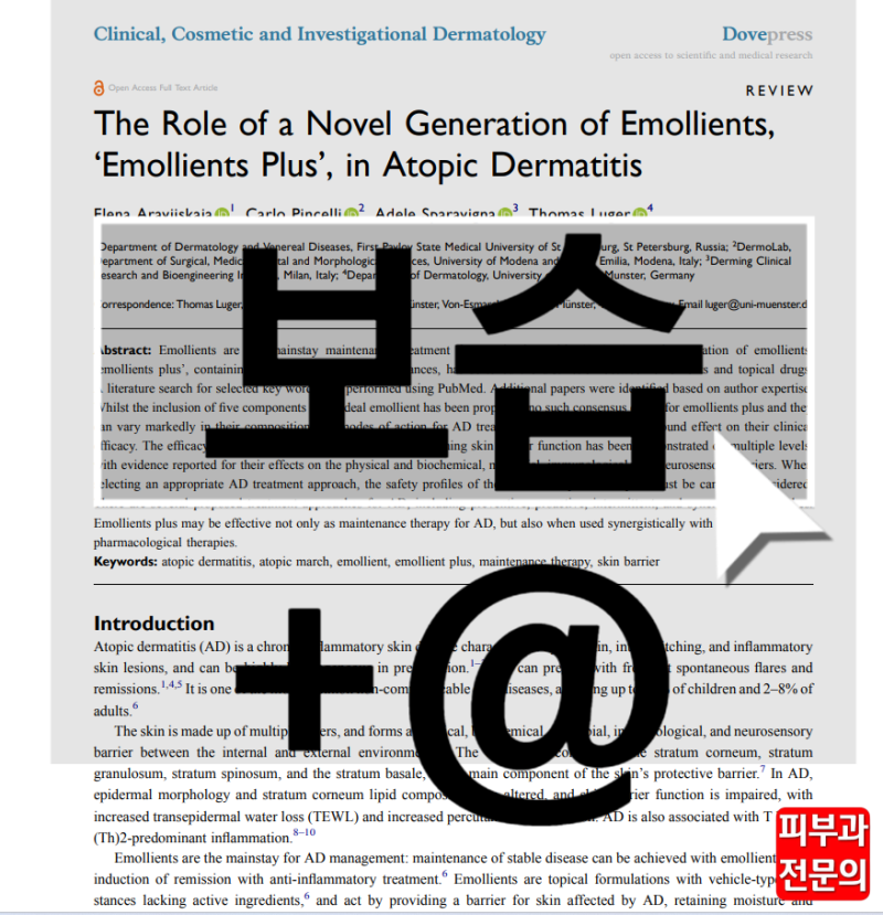피부면역을 지켜주는 관리방법 : 네이버 블로그