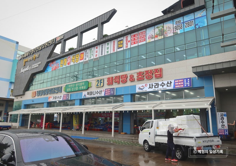 묵호항 수산시장 사라수산ㅣ동해 망상캠핑장 근처 회포장 네이버 블로그