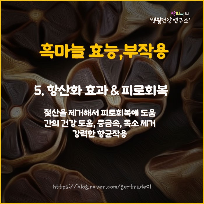 흑마늘 효능 효과 7가지와 부작용 보관법 꼭 알아야 하는 이유 네이버 블로그