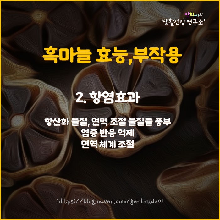흑마늘 효능 효과 7가지와 부작용 보관법 꼭 알아야 하는 이유 네이버 블로그