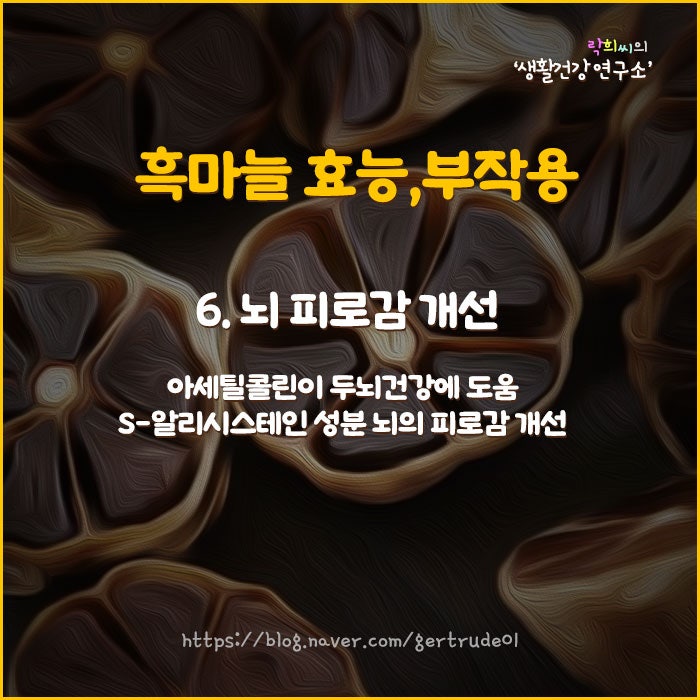 흑마늘 효능 효과 7가지와 부작용 보관법 꼭 알아야 하는 이유 네이버 블로그