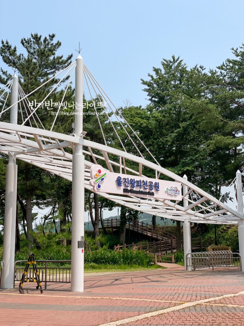 울진 갈만한곳 엑스포공원 왕피천공원에 아쿠아리움 안전체험관 곤충여행관 다있어요~ 네이버 블로그