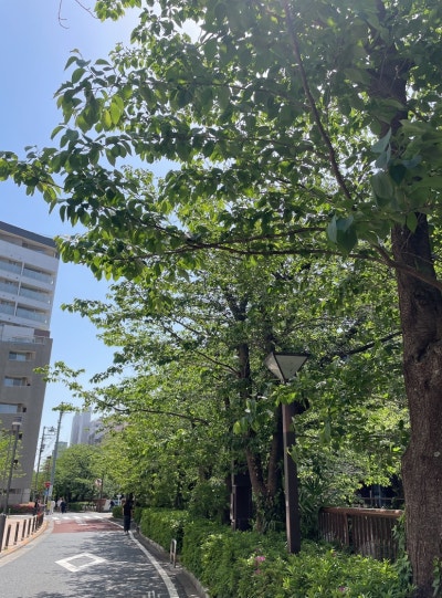 도쿄여행 5 셋째날 나카메구로 도쿄스타벅스 리저브 로스터리 시부야스카이 도쿄캐릭터샵 네이버 블로그