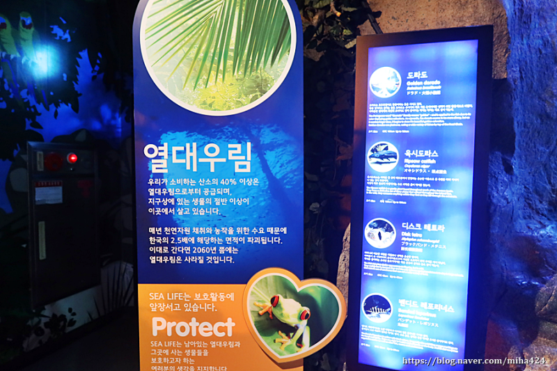 부산가볼만한곳 씨라이프 부산 아쿠아리움과 브릭맨 후기 네이버 블로그