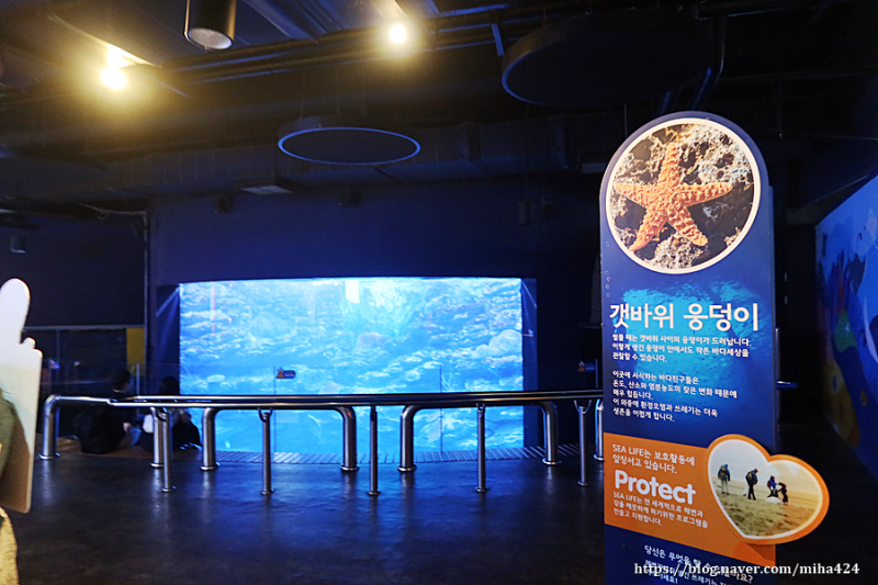 부산가볼만한곳 씨라이프 부산 아쿠아리움과 브릭맨 후기 네이버 블로그