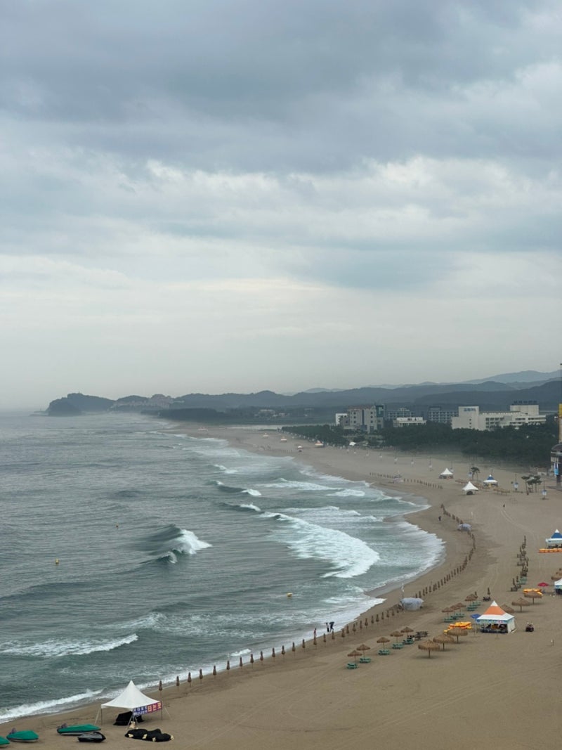 양양 감성숙소 낙산비치호텔 가족 여행이나 강원도 호캉스로 딱 비전망숲뷰 체크인 꿀팁 네이버 블로그
