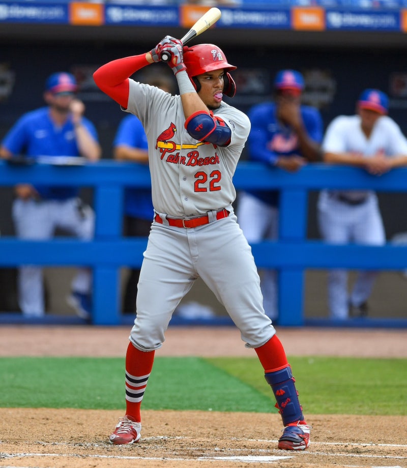 [BA] 세인트루이스 카디널스 (St. Louis Cardinals)의 2023년 미드-시즌 유망주 Top 30 : 네이버 블로그