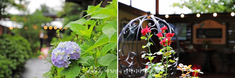 8월 경기도 가볼만한곳 양평 카페 더그림 And 킹더랜드촬영지 네이버 블로그