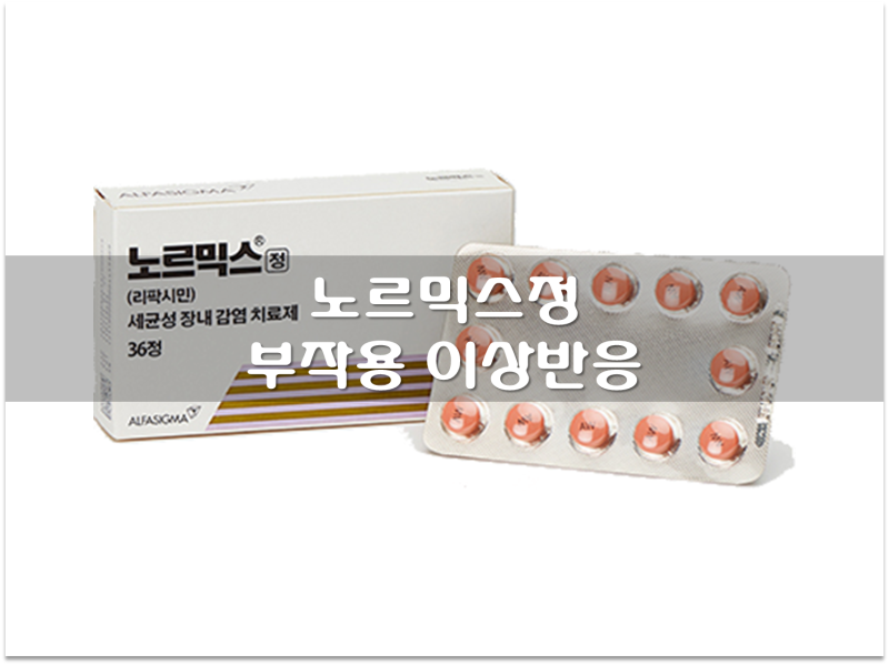 노르믹스 노르믹스정 50mg 설사 과민성대장증후군 고암모니아혈증 처방 항생제 약 치료제 효능 효과 성분 부작용 복용법 네이버 블로그
