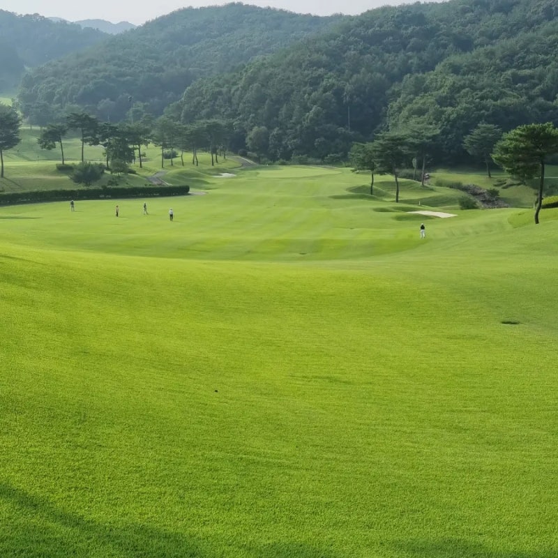 동원썬밸리cc 밸리코스 썬코스 후기 네이버 블로그