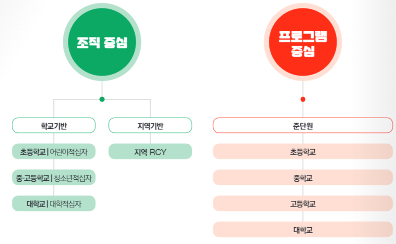 RCY 70주년 기념! 청소년적십자(RCY)의 모든 것! (4대 활동/신청방법) : 네이버 블로그