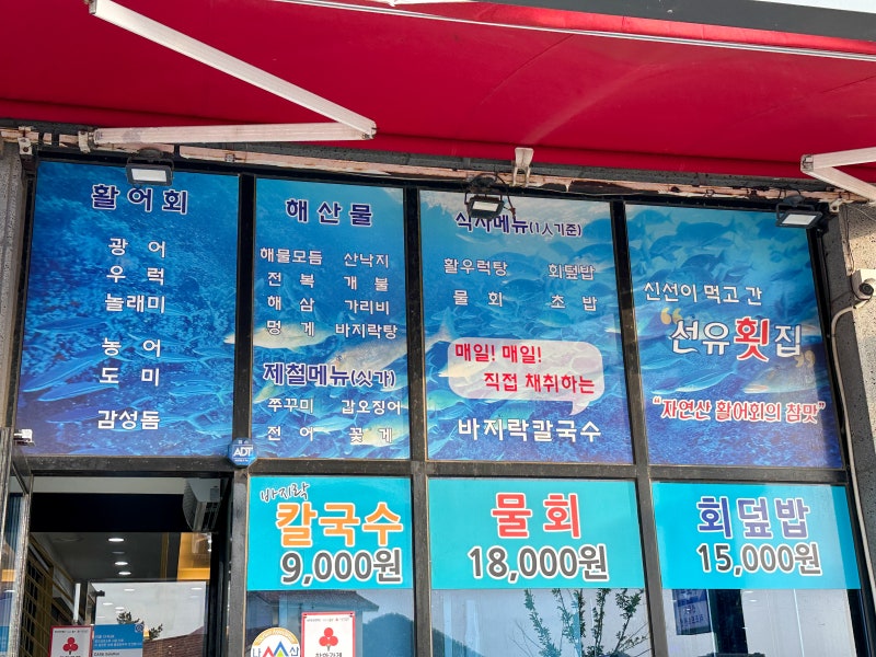 군산 선유도 선유도 맛집회 정식 먹은 내돈내산 후기 선유횟집 네이버 블로그