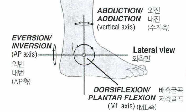inversion(내번), eversion(외번) 시 정상 가동범위(ROM)를 알아보자. : 네이버 블로그