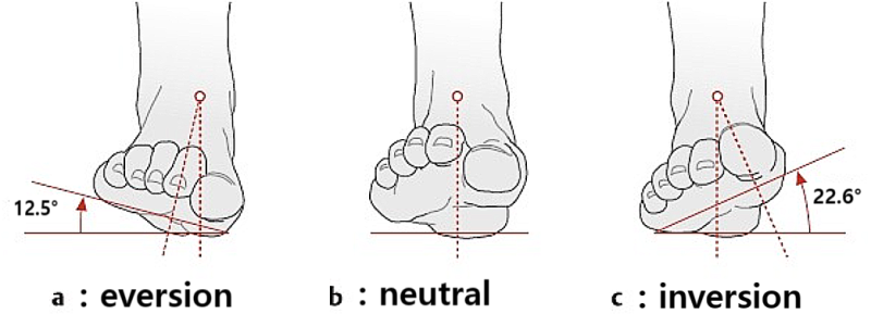 inversion(내번), eversion(외번) 시 정상 가동범위(ROM)를 알아보자. : 네이버 블로그