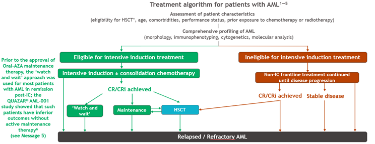 급성골수성백혈병(Acute myeloid leukemia, AML) 정리 ( NCCN guidelines version 3 ...