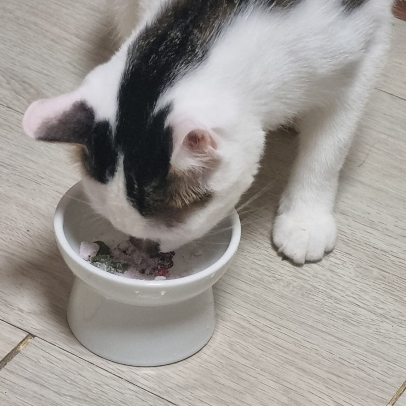 7월23일~24일 김밥만들기 감기조심 탕후루2 여름빨리가 감기조심 : 네이버 블로그