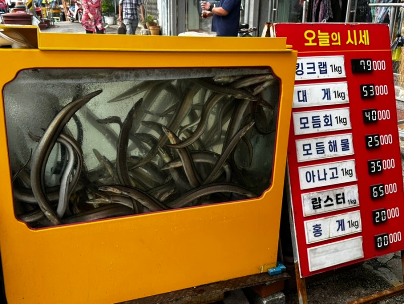 여름 제철 음식 하모 먹으러 순천 역전횟집 네이버 블로그