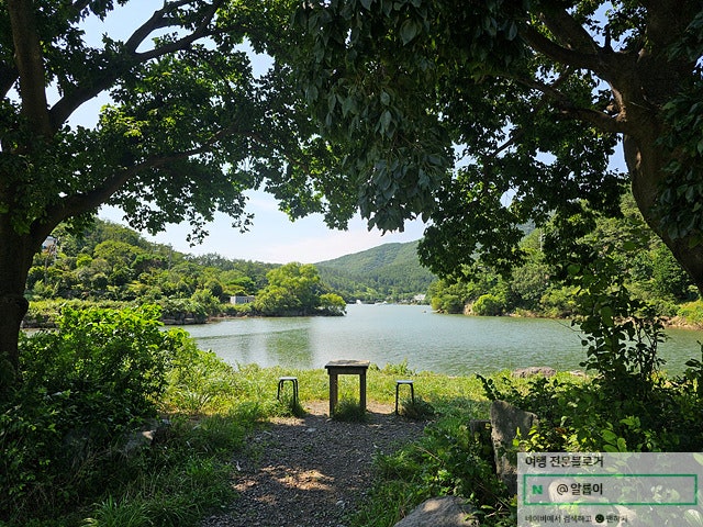 거제도 명소 거제도 가볼만한곳 거제도 초록초록 지금딱 가기좋은 인생샷명소 동부저수지 포토존 네이버 블로그