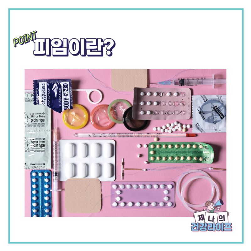 디어미순 정 효능과 부작용 가격생리미루기 피임할때 피임약 복용법 네이버 블로그