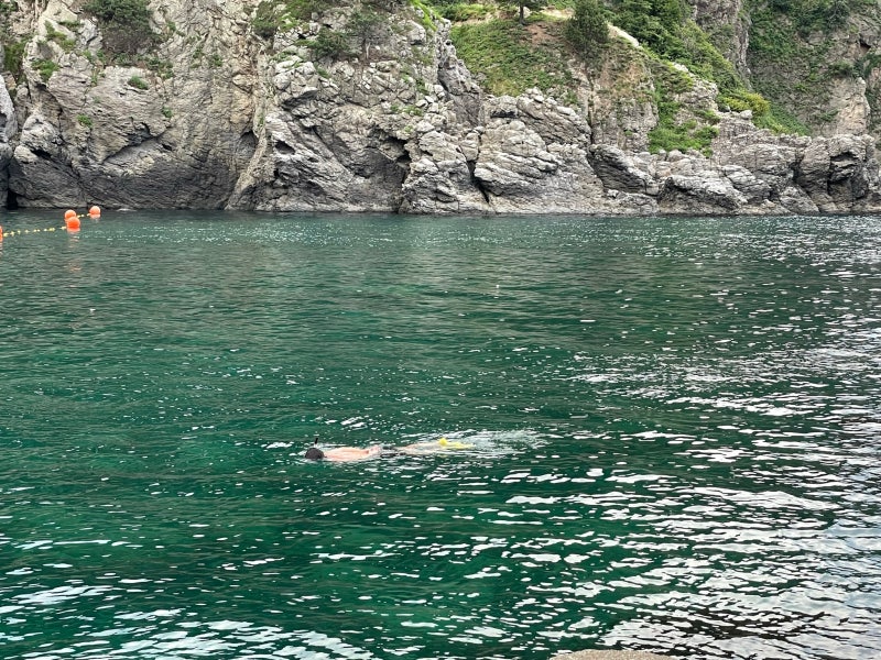 울진 스노쿨링 명소 추천 하트해변 스노쿨링 장소 추천 네이버 블로그