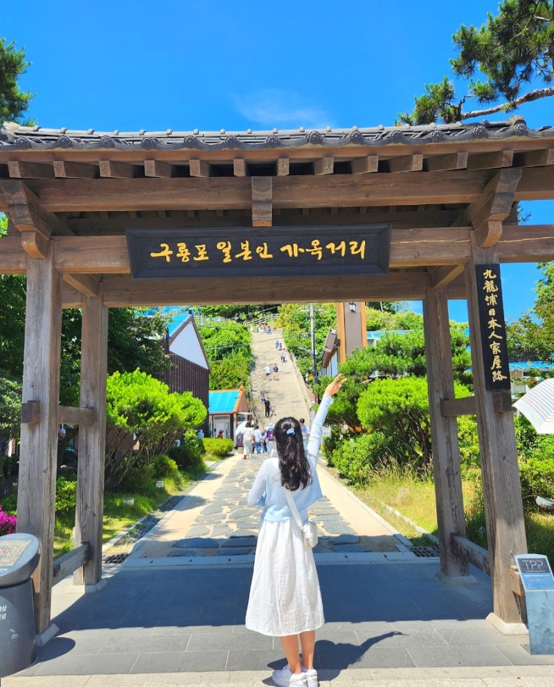 포항 구룡포 일본인 가옥거리 까멜리아 과메기문화관 여행지 네이버 블로그