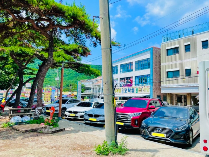 강화도 동막해변 갯벌체험과 주차 꿀팁 해수욕장 근처 밥집 맛을 담은 강된장 방문 후기 네이버 블로그