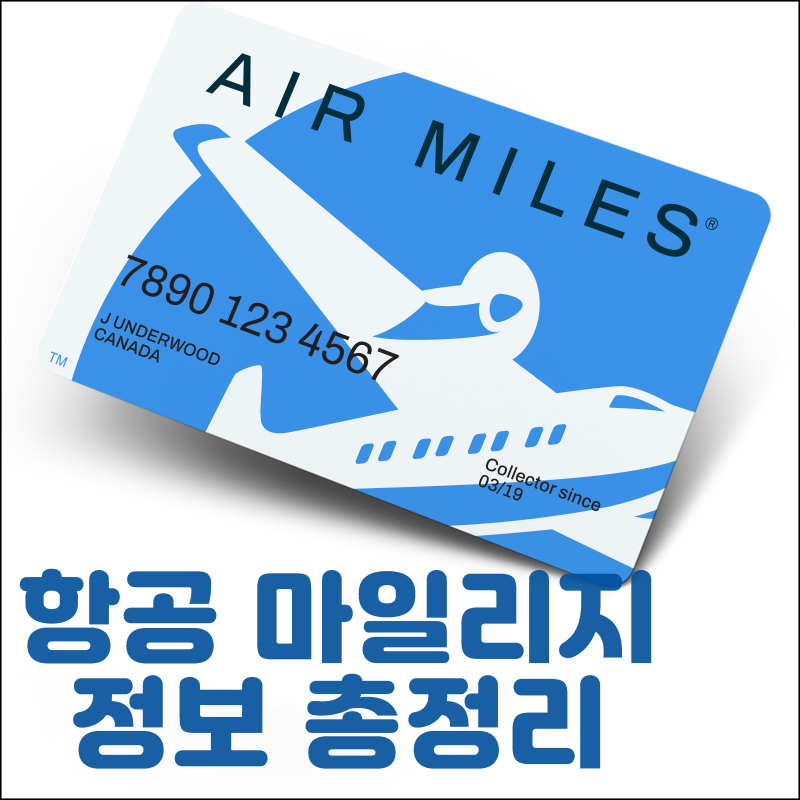 항공 마일리지 적립사용 정보 총정리 대한항공 아시아나 항공동맹체스카이팀 스타얼라이언스 네이버 블로그