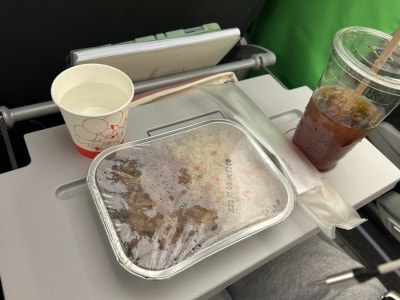 [호주 여행] 티웨이 항공 좌석, 사전 주문 기내식 꿀팁 후기 TW501 세미 프리미엄존 / 시드니 공항 셀프체크인 자동입국심사 ...