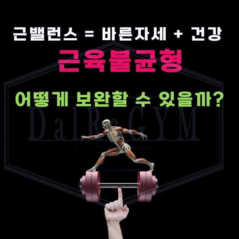 매교동헬스장 피티 골반전방경사 후방경사 원인 네이버 블로그