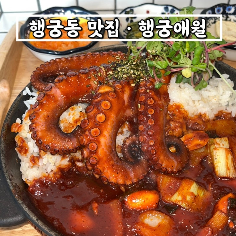 행궁애월ㅣ행궁동맛집 불향가득 돌문어덮밥 간장제육덮밥 최고야 네이버 블로그