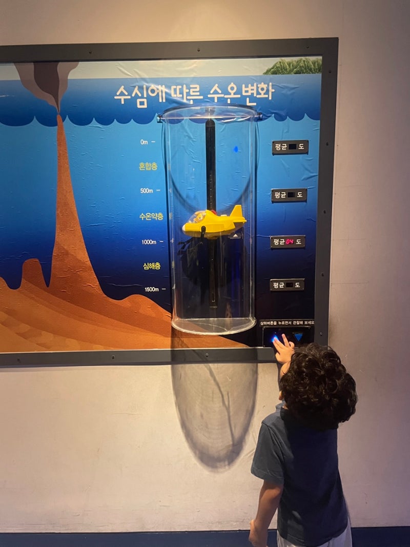 목포 아이랑 체험 실내 어린이바다과학관 네이버 블로그