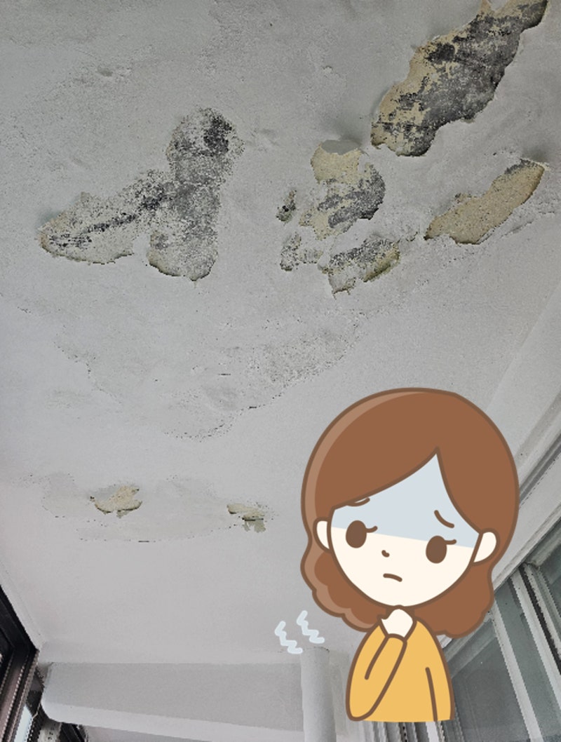베란다 천장 페인트 들뜸 벗겨짐 박리 보수 1년도 안 됐는데 또페이늩 박리 원인 파악이 먼저인천 한국아파트 베란다 천장