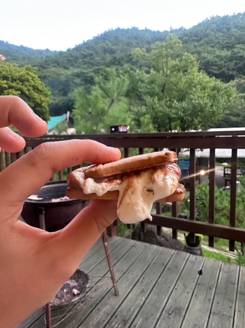 제천 글램핑 숲 속에 위치한 역대급 뷰의 글램핑장 청풍월드니스글램핑 네이버 블로그