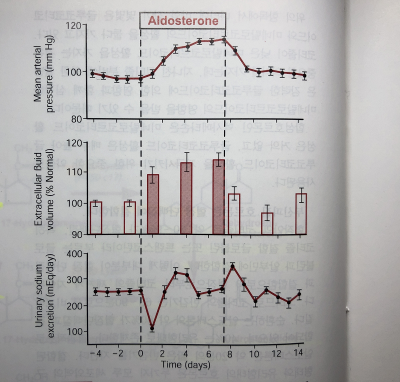 고칼륨혈증 원인과 증상 치료 Hyperkalemia 네이버 블로그